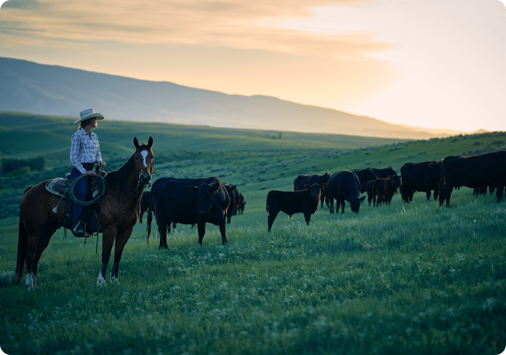 RangeView - Next-generation technology. Designed to sustain the next generation.